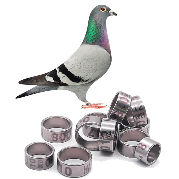 Personalized Stainless Steel Pigeon Leg Bands, Custom Steel Pigeon Rin ...