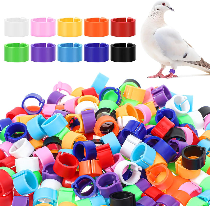 Personalized Open Plastic Pigeon Leg Bands, Custom Pigeon Open Leg Rin ...