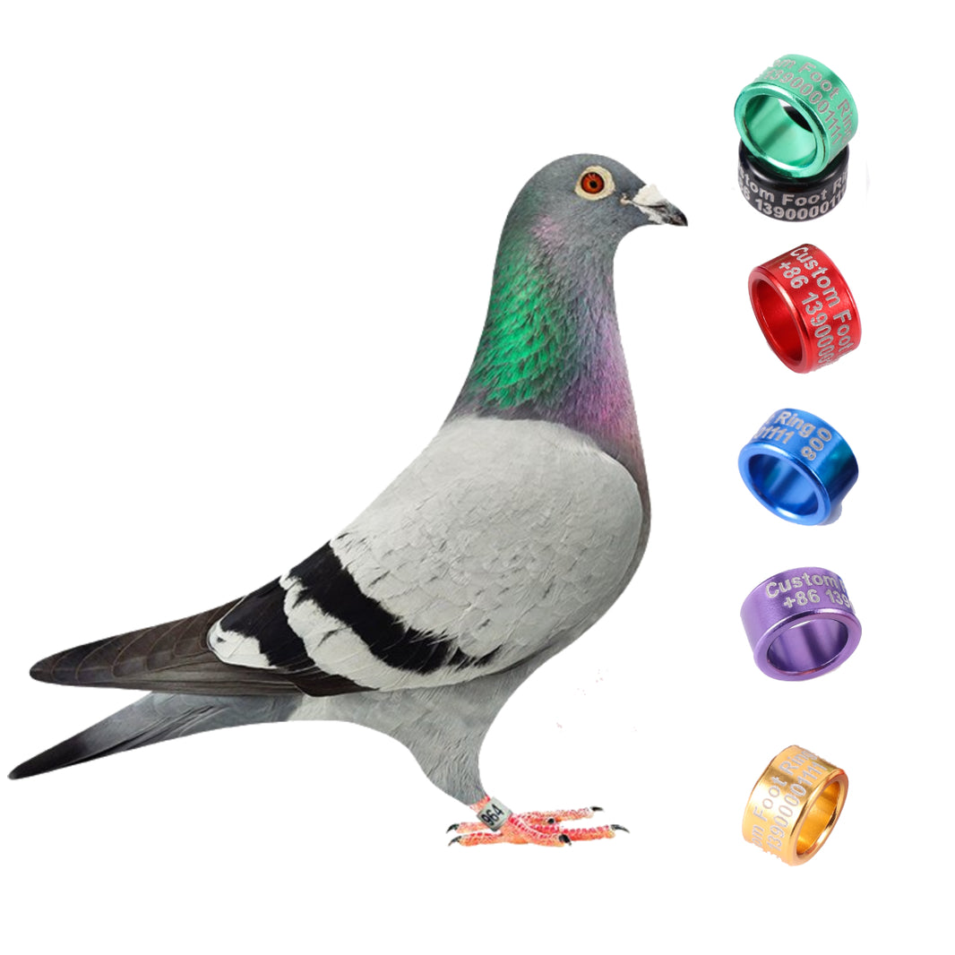 Custom Pigeon Leg Bands | Wholesale Pigeon Rings | Pigeon Leg Clips ...