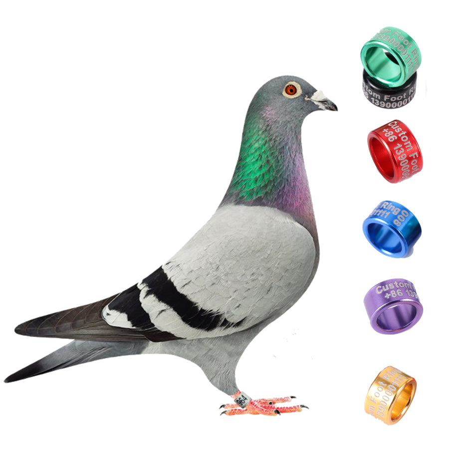 Custom Pigeon Leg Bands | Wholesale Pigeon Rings | Pigeon Leg Clips ...